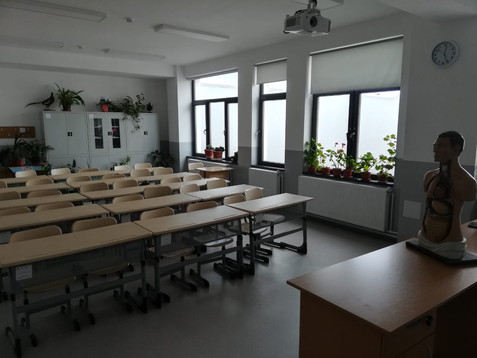 Oferta Educațională – Școala Gimnazială „Matei Basarab” din Târgoviște